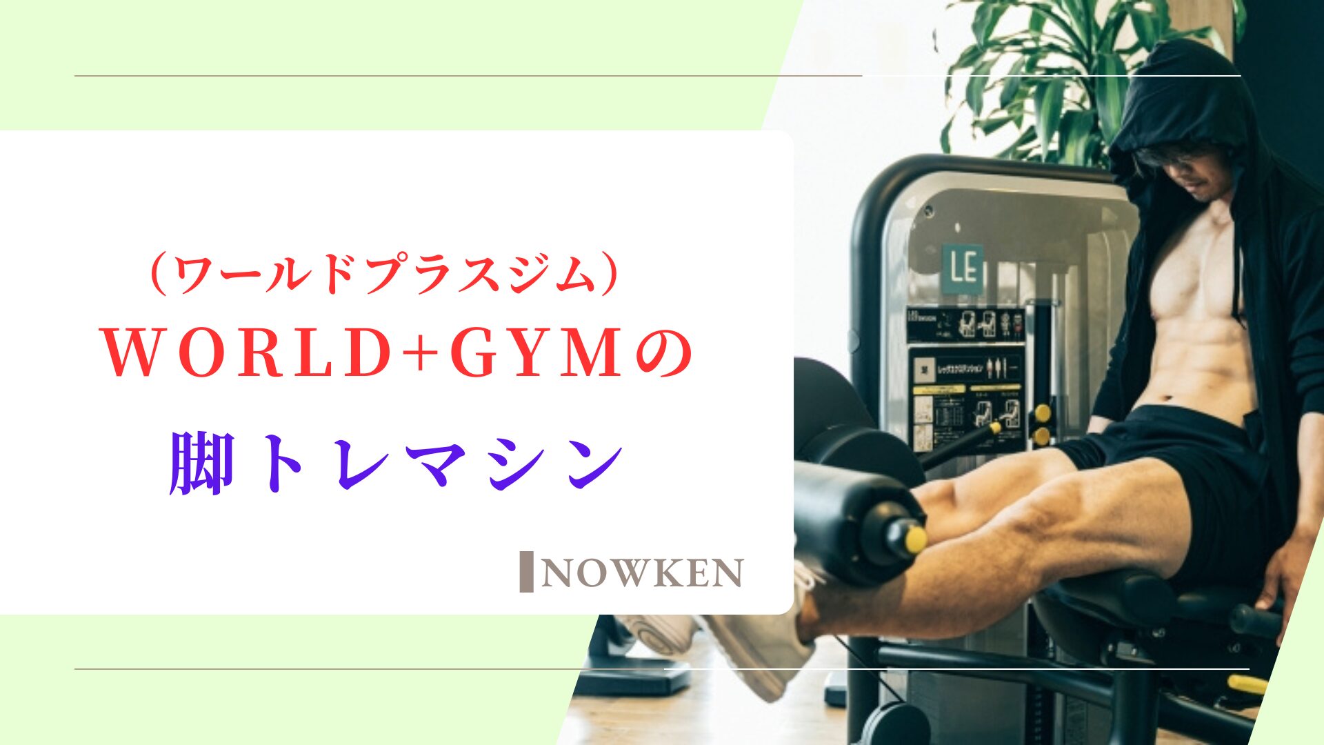 WORLD+GYM（ワールドプラスジム）のマシン一覧！種類や使い方を徹底解説